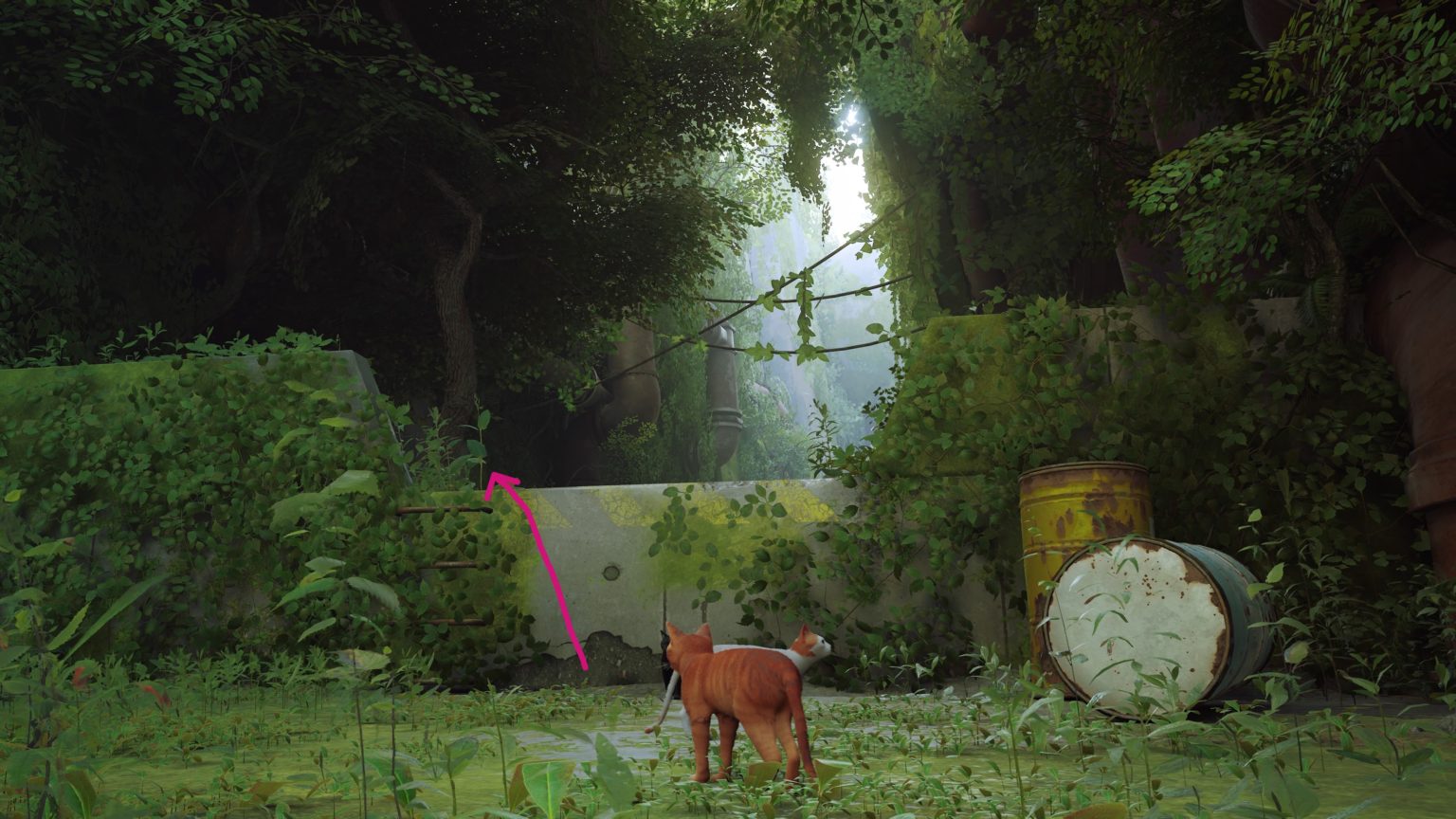 Stray – Chapter 1 Collectibles Walkthrough - NightlyGamingBinge