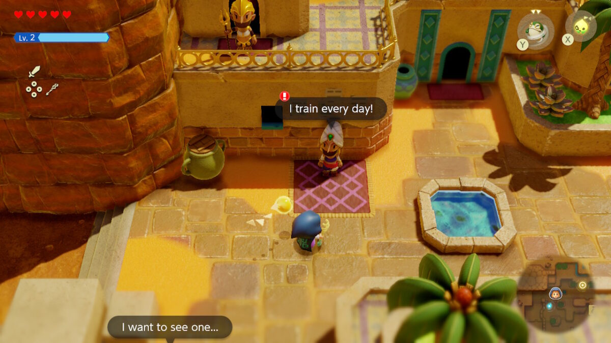 Zelda: Echoes of Wisdom | Gerudo Tag Training Guide