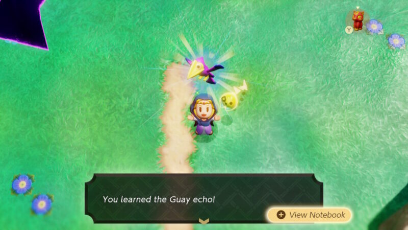 The Legend of Zelda: Echoes of Wisdom | Guay Echo Guide