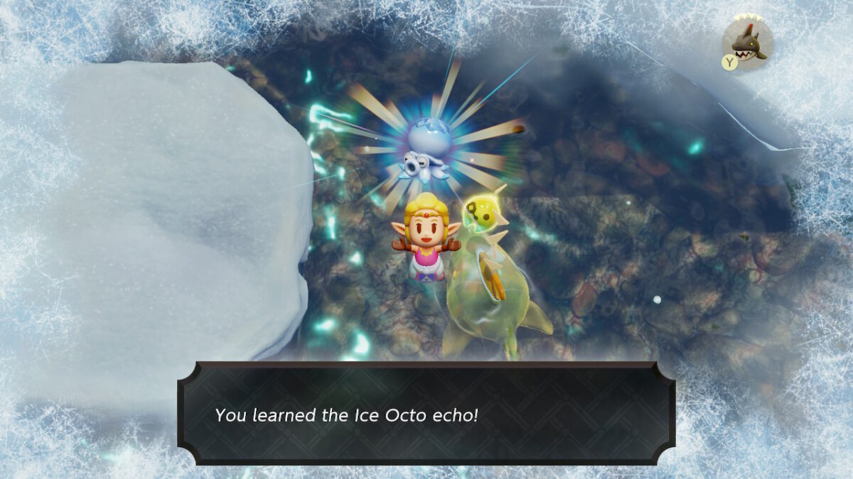 The Legend of Zelda: Echoes of Wisdom | Ice Octo Echo Guide