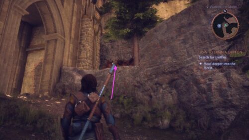 How to Train a Griffon Quest | Dragon Age: The Veilguard