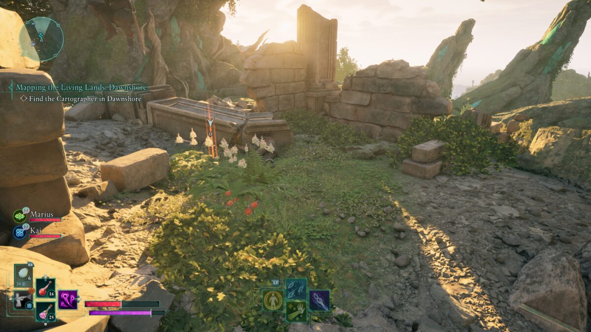 Mapping the Living Lands: Dawnshore Walkthrough | Avowed