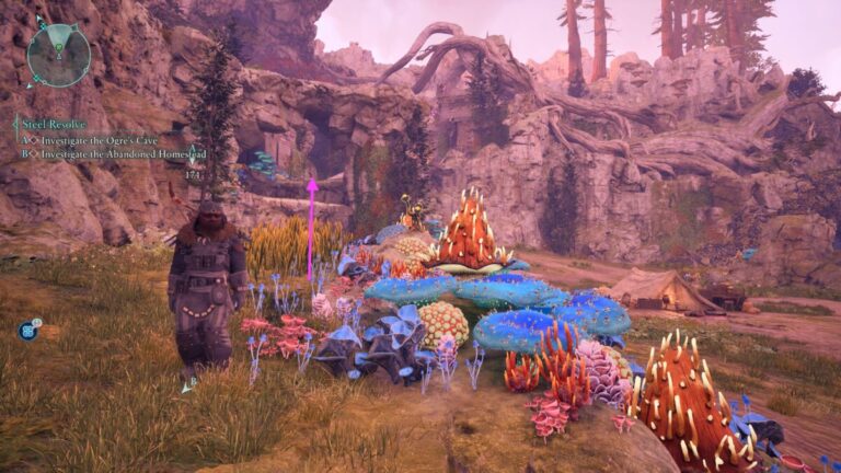 Steel Resolve Side Quest Walkthrough | Avowed