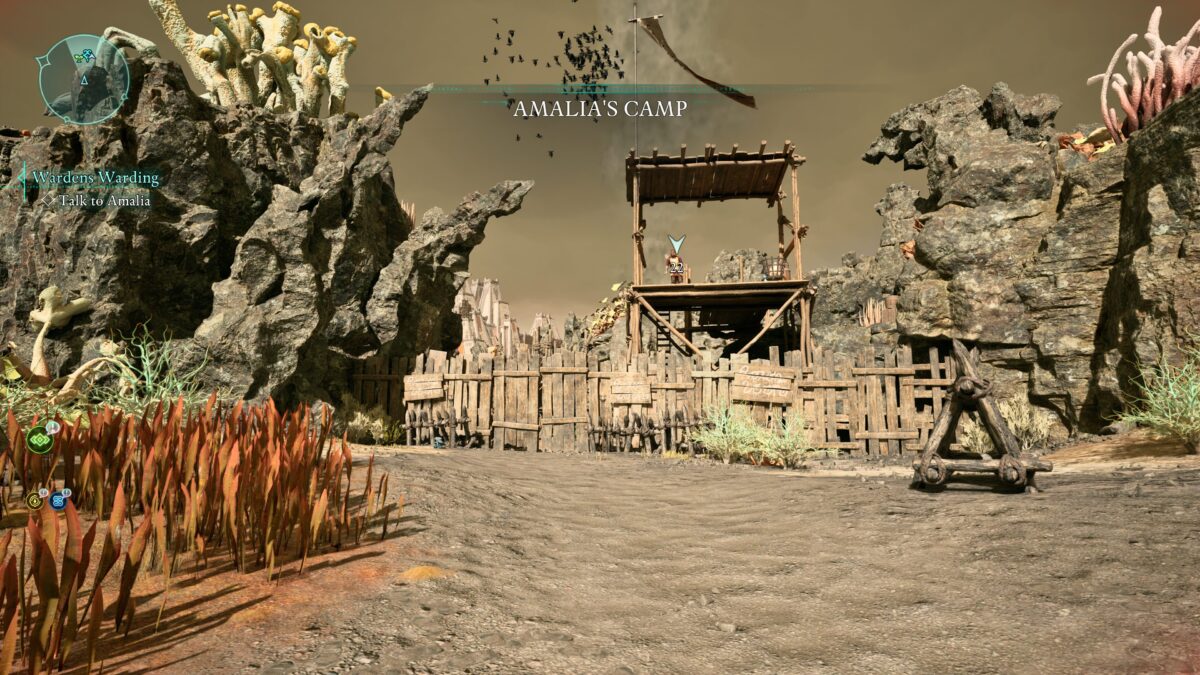 Wardens Warding Side Quest Walkthrough | Avowed