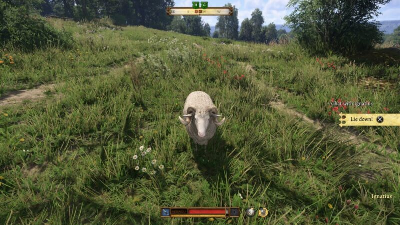 Kingdom Come Deliverance II – Mutt Walkthrough